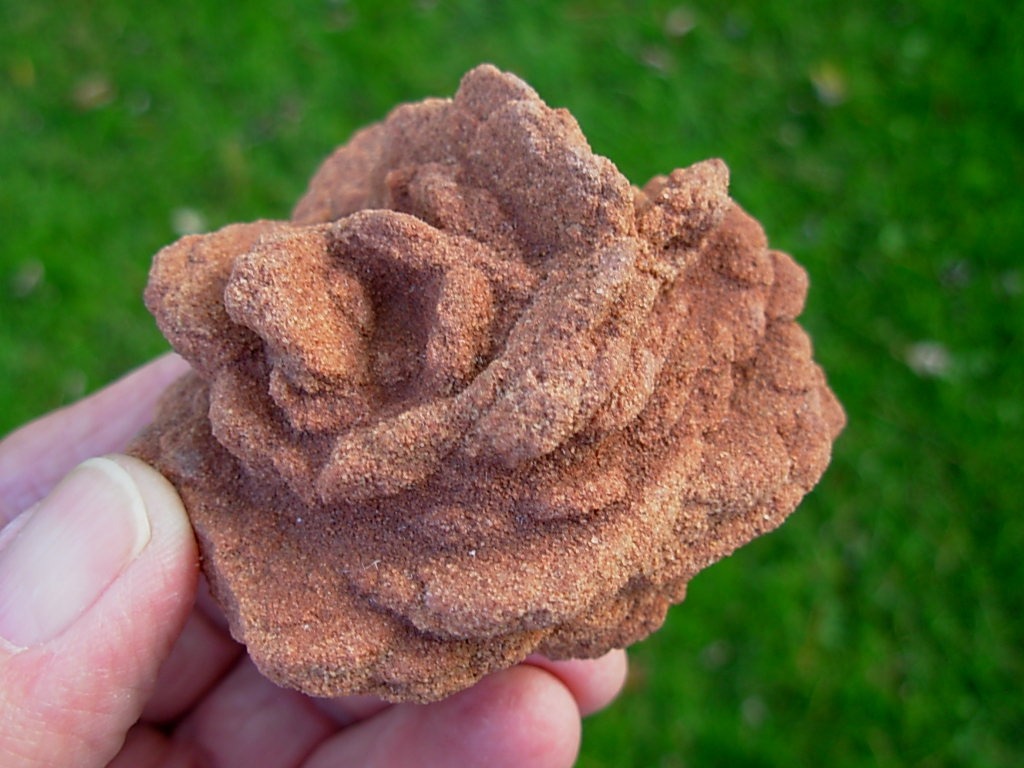 Desert Rose – Spirit Rock Shop