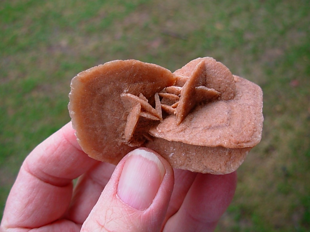 Desert Rose – Spirit Rock Shop