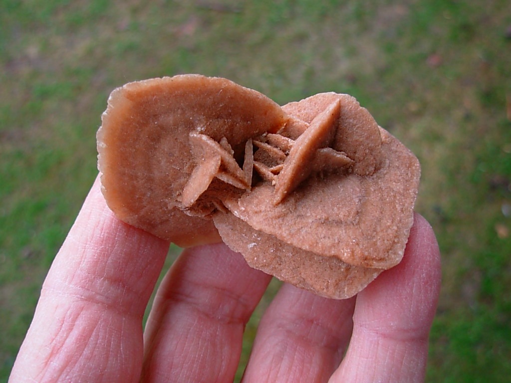 Desert Rose – Spirit Rock Shop