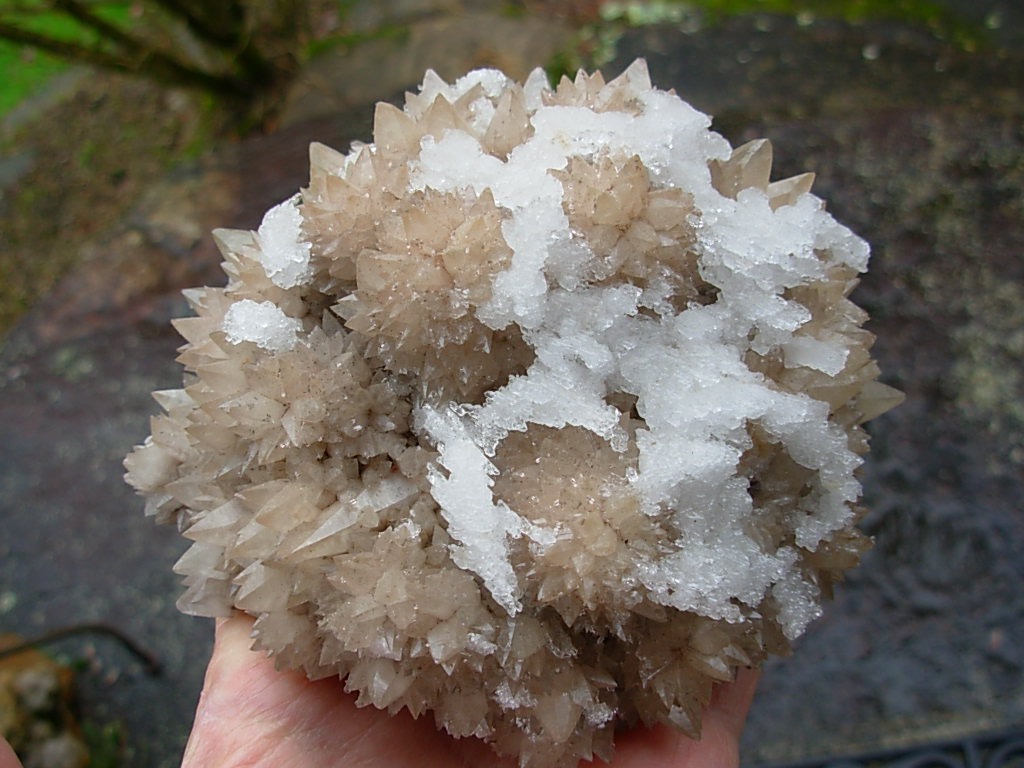 Calcite Dogtooth – Spirit Rock Shop