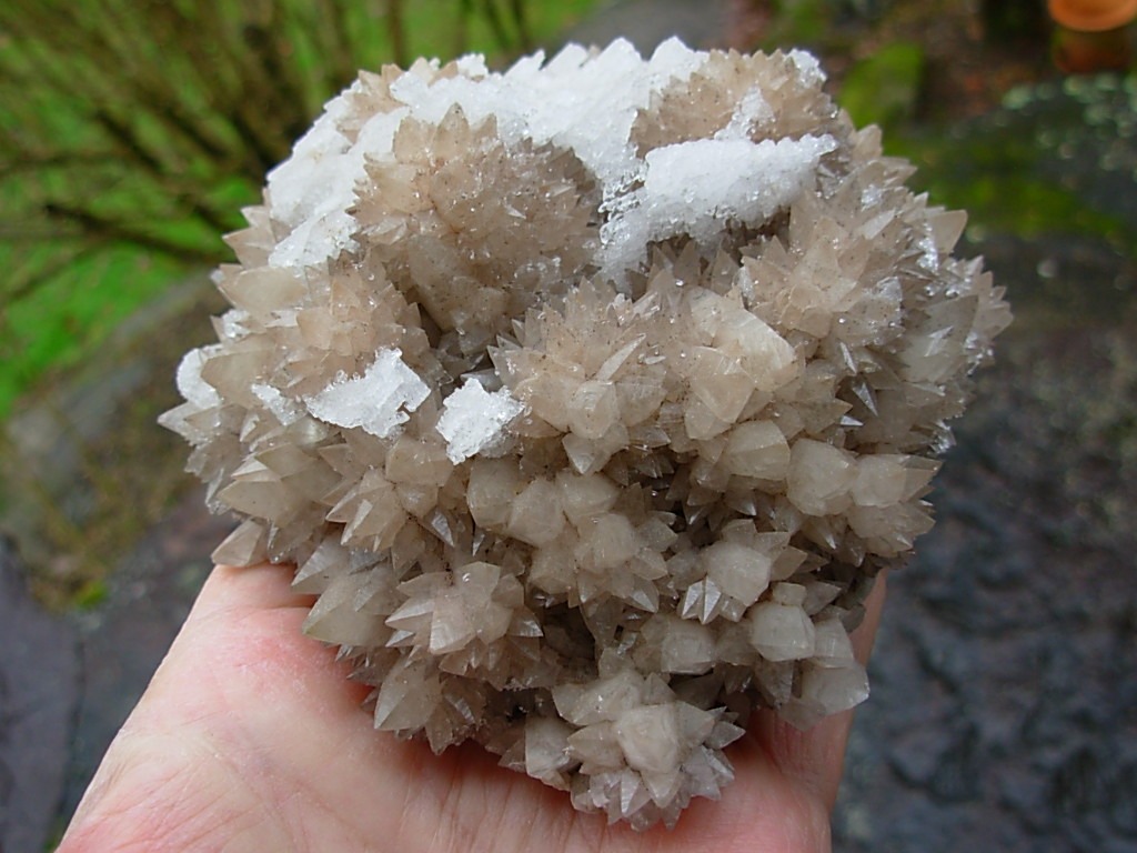 Calcite Dogtooth – Spirit Rock Shop