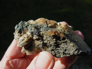 Calcite Dogtooth – Spirit Rock Shop