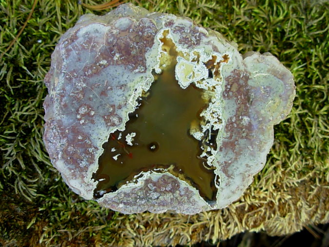 Oregon Thundereggs – Spirit Rock Shop
