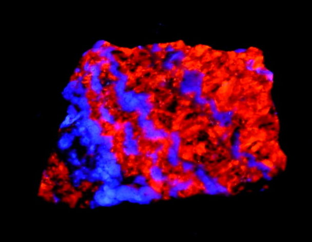 Fluorescent Minerals Arizona – Spirit Rock Shop