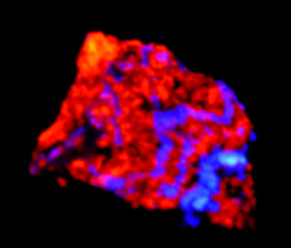 Fluorescent Minerals Arizona – Spirit Rock Shop