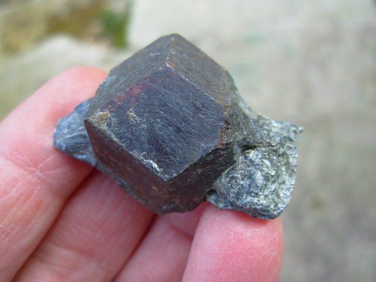 Almandine Garnet Crystal on Chlorite Mica Schist Matrix from Little ...