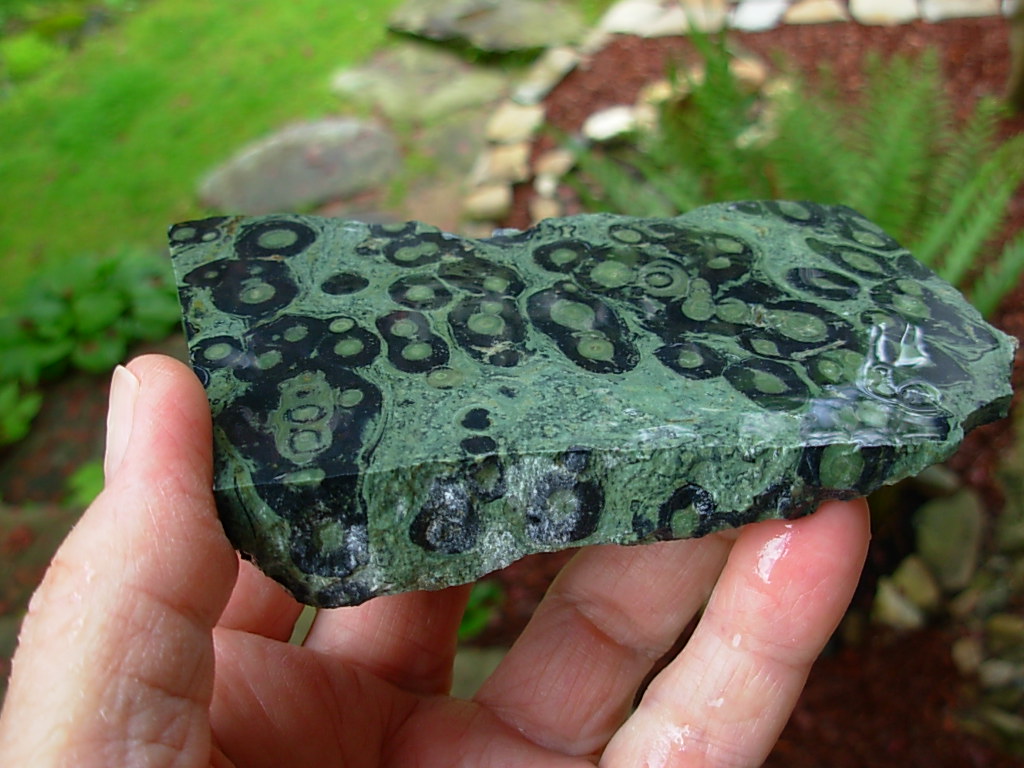 Kambaba Jasper End Cut from Madagascar