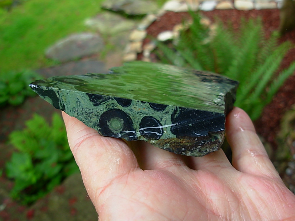 Kambaba Jasper End Cut from Madagascar