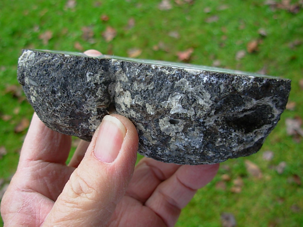 Choyas(Mexican Coconut) Geodes – Spirit Rock Shop