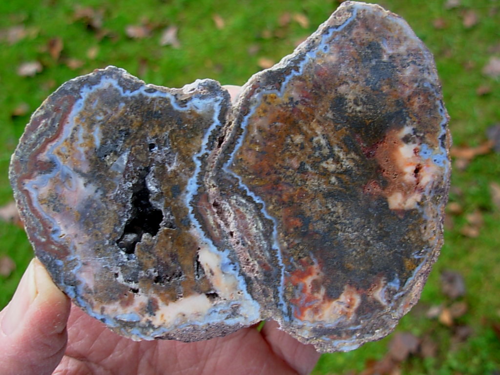 Choyas(Mexican Coconut) Geodes – Spirit Rock Shop