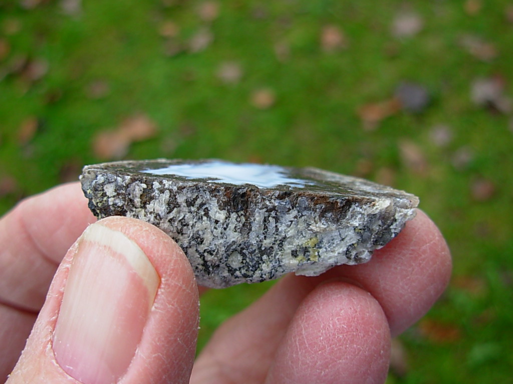 Choyas(Mexican Coconut) Geodes – Spirit Rock Shop