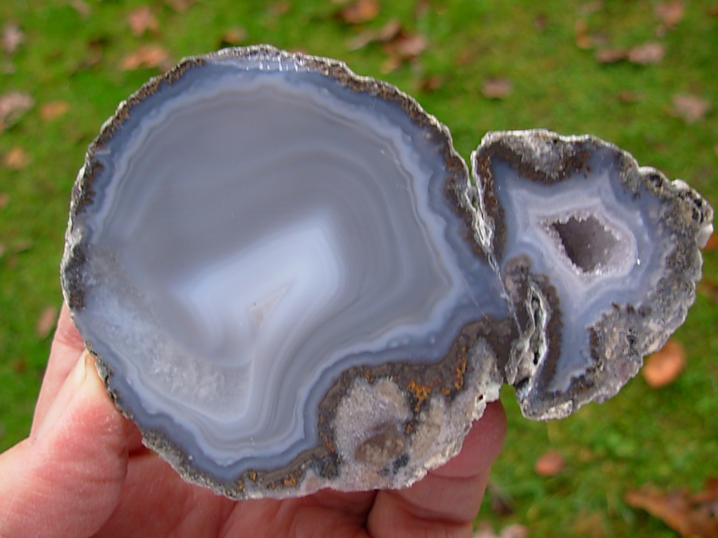 Choyas(Mexican Coconut) Geodes – Spirit Rock Shop