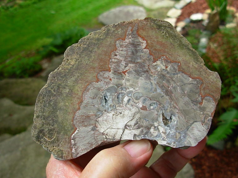 Mushroom Jasper Rough from Arizona - Spirit Rock Shop