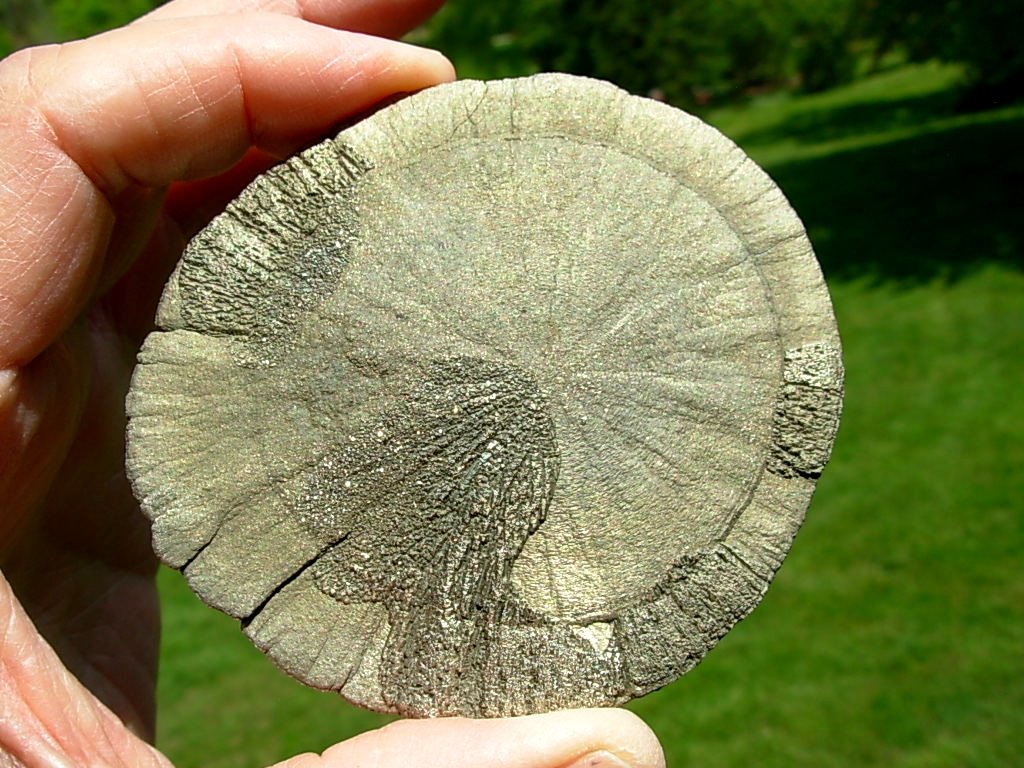 Pyrite Suns – Spirit Rock Shop