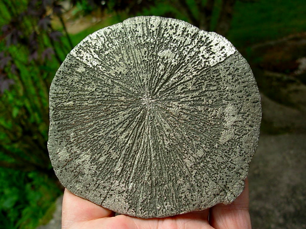 Pyrite Suns – Spirit Rock Shop