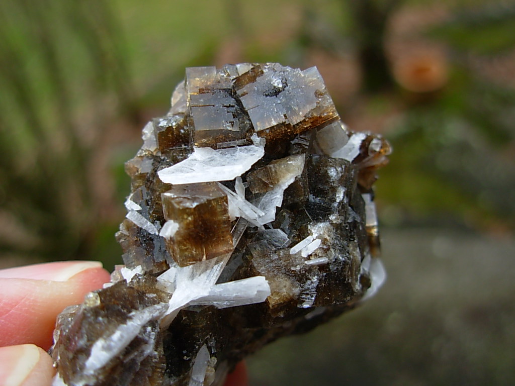 Fluorite - Spirit Rock Shop