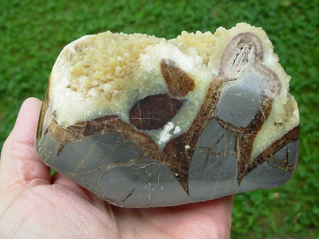 Septarian Geodes – Spirit Rock Shop