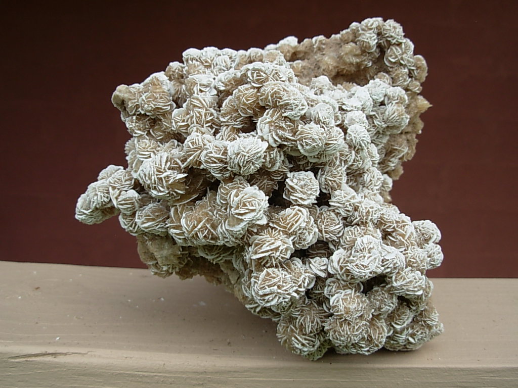 Desert Rose – Spirit Rock Shop