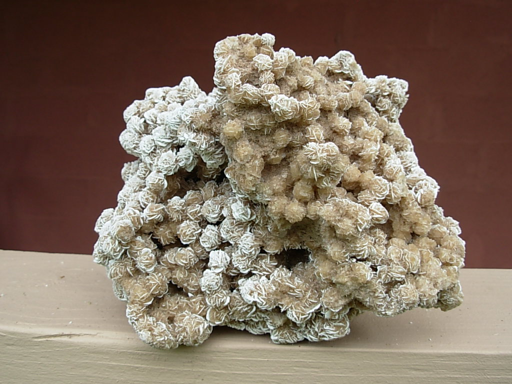 Desert Rose – Spirit Rock Shop