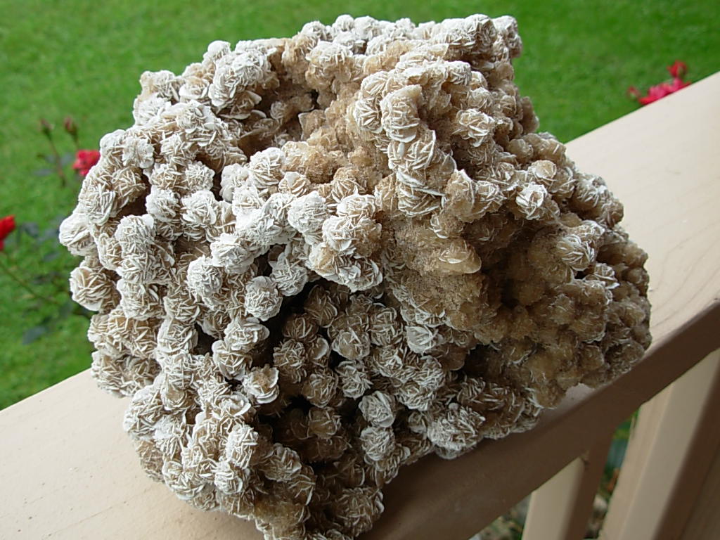 Desert Rose – Spirit Rock Shop