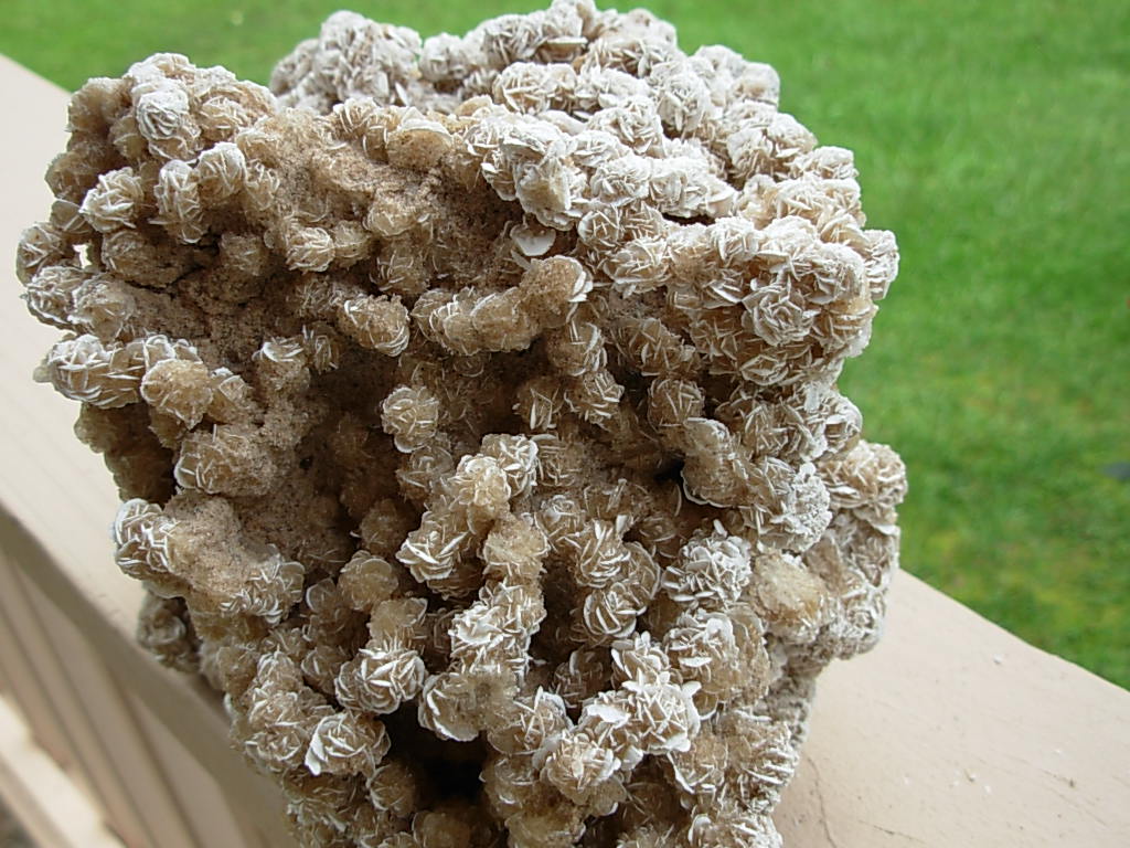 Desert Rose – Spirit Rock Shop