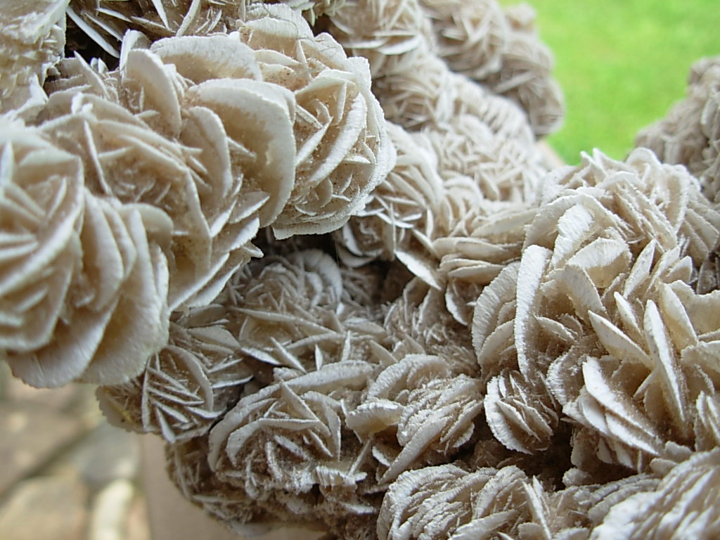 Desert Rose – Spirit Rock Shop