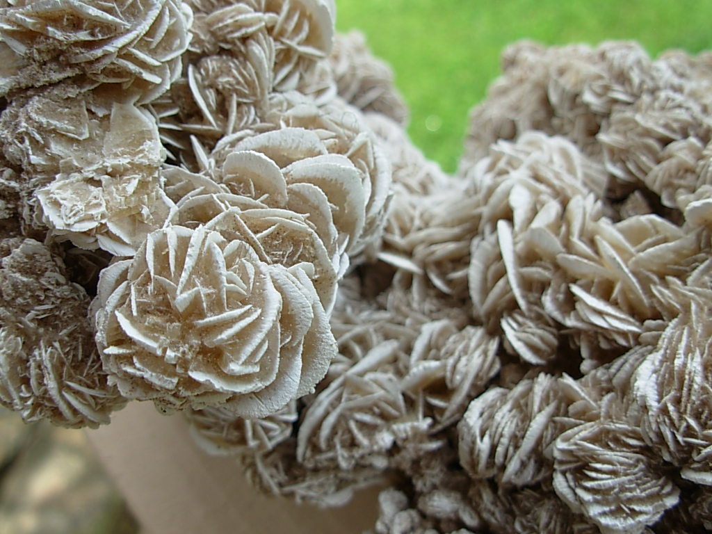 Desert Rose – Spirit Rock Shop