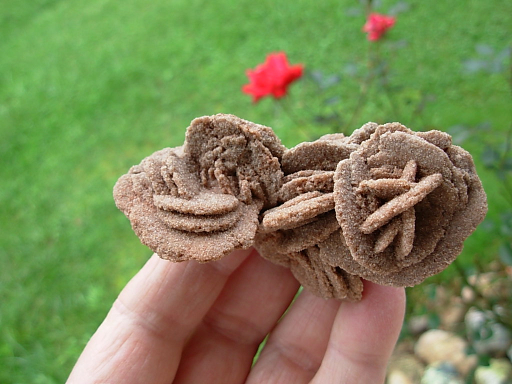 Desert Rose – Spirit Rock Shop