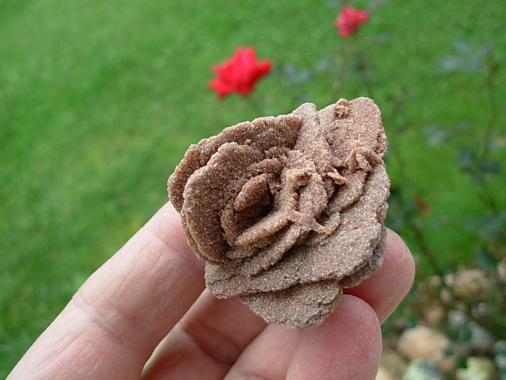Desert Rose – Spirit Rock Shop