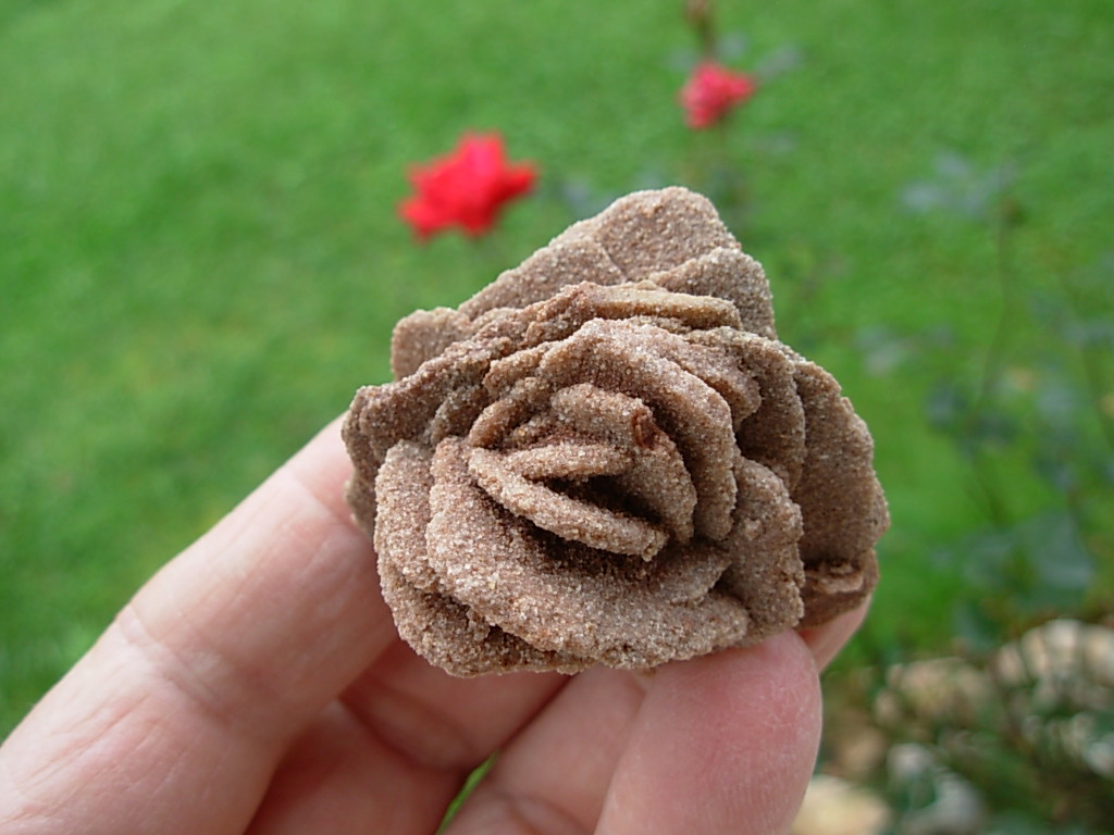 Desert Rose – Spirit Rock Shop