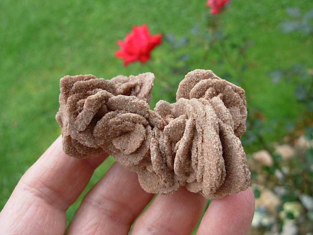 Desert Rose – Spirit Rock Shop