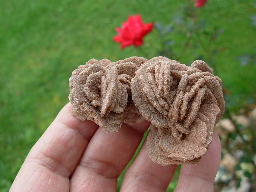 Desert Rose – Spirit Rock Shop