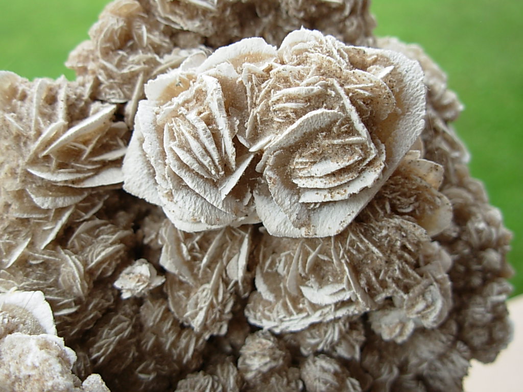 Desert Rose – Spirit Rock Shop