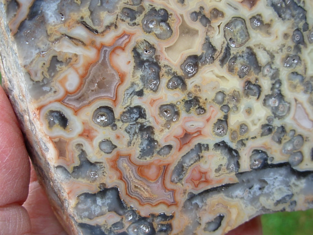Crazylace Agate End Cut Display Slab (Polished One Side) - Spirit Rock Shop Crazylace Agate End Cut Display Slab (Polished One Side) - Spirit Rock Shop
