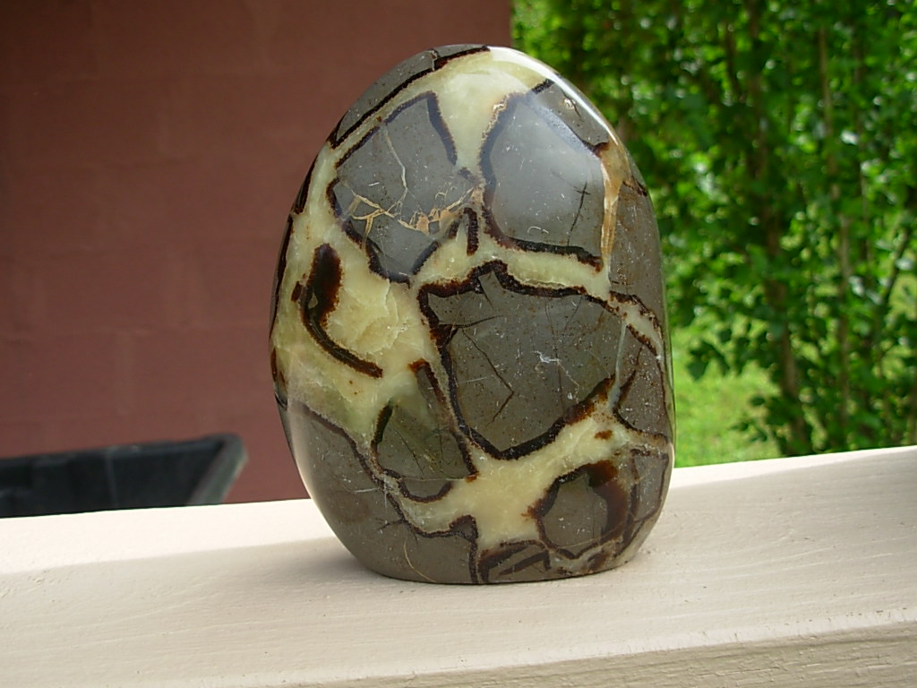 Septarian Geodes – Spirit Rock Shop
