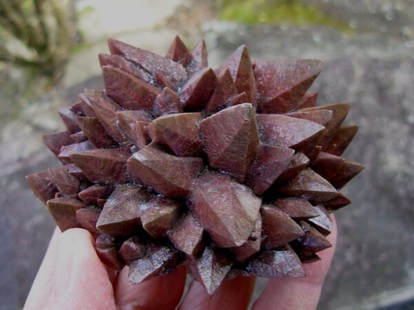 Calcite Dogtooth - Spirit Rock Shop