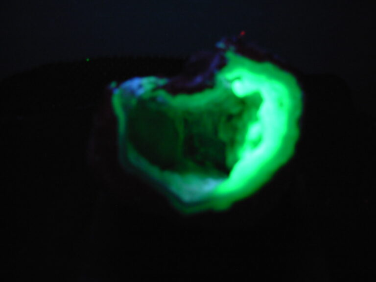 Polished Face Fluorescent Dugway Geode Half 59 - Spirit Rock Shop
