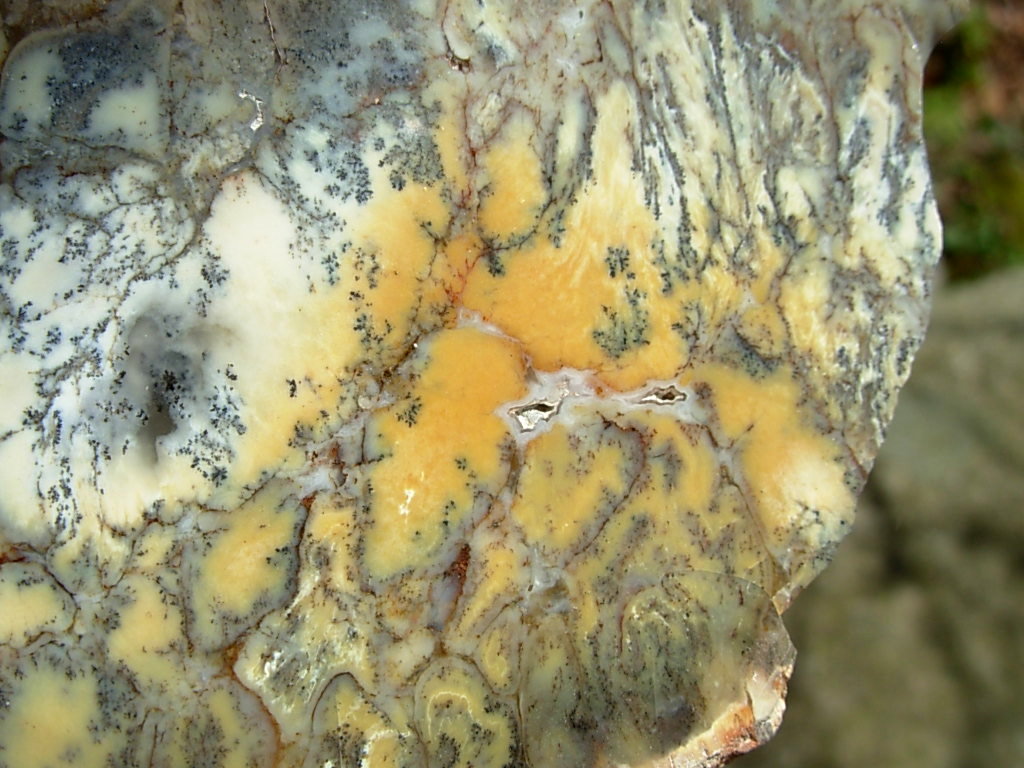 Dendritic Moss Opal - Spirit Rock Shop