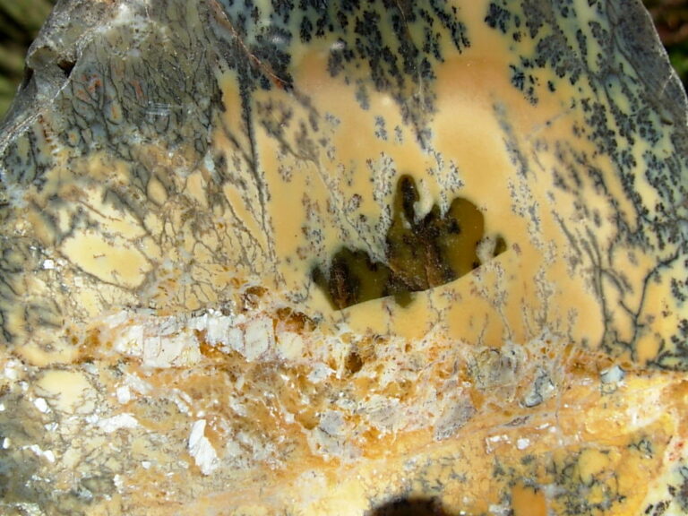 Dendritic Moss Opal - Spirit Rock Shop