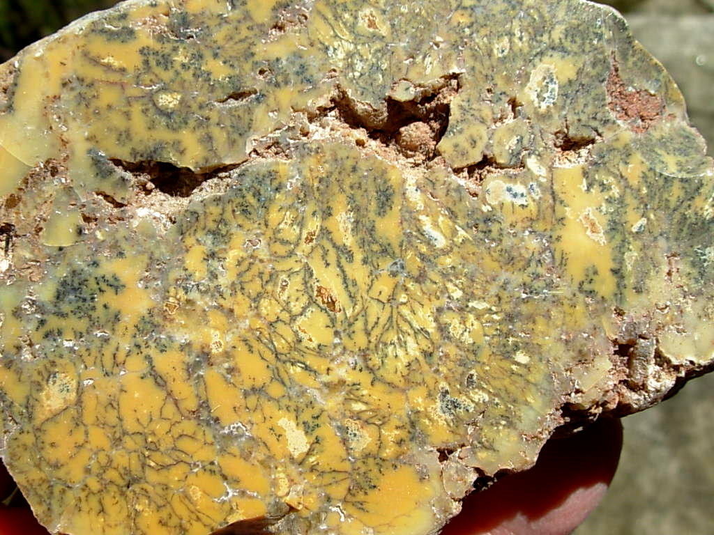 Dendritic Moss Opal - Spirit Rock Shop